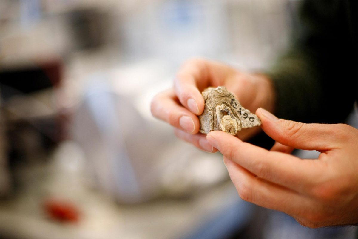 Scientists Discover “Shocking” 18-Million-Year-Old Secret Hidden in ...