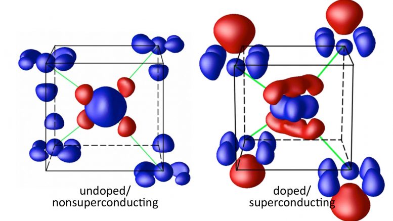 Universite De Montreal News - SciTechDaily