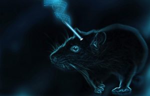Scientists Confirm Cellular Basis for Memory by Implanting and Erasing ...