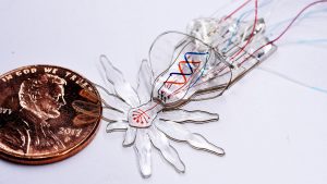 Engineers Develop Multifunctional Flexible Robots Using MORPH System
