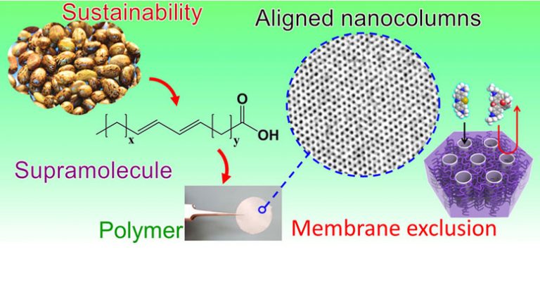 Yale Engineers Develop Plant-Derived Material to Purify Water