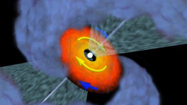 ALMA Views the Dust Disk Around Young Protostar HH-212
