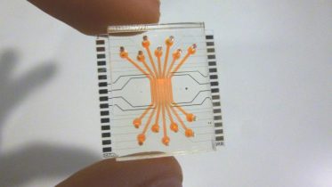 New DNA-Based Microfluidic Chip Can Be Programmed To Solve Complex Math ...