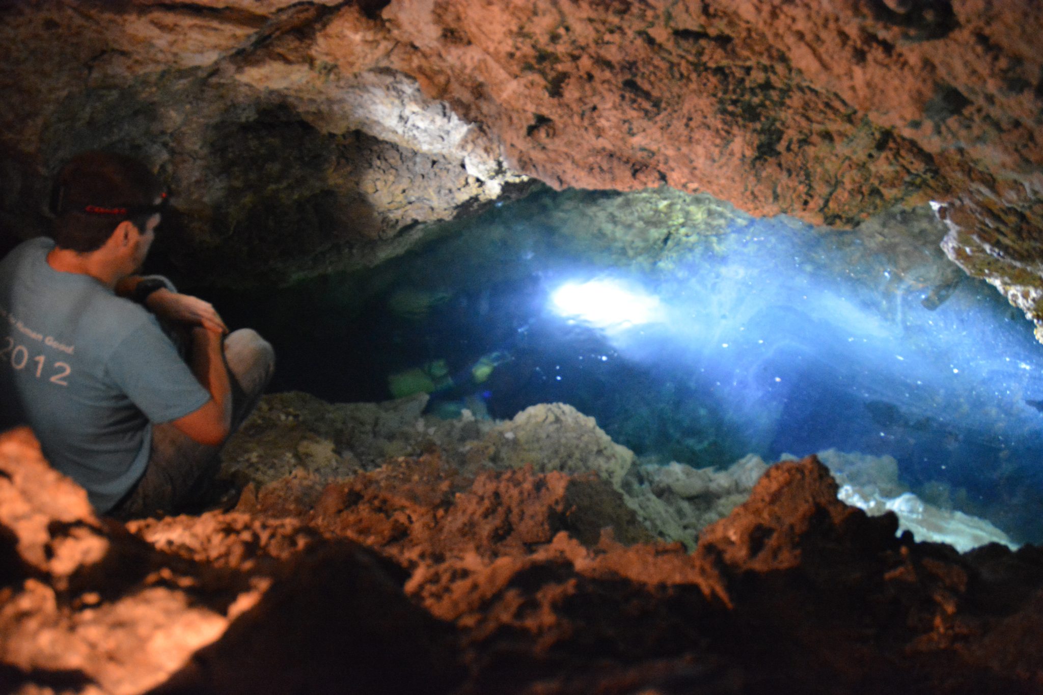 Scientists Discover Mysterious New Species of Crustacean in Underground ...