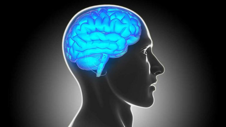 Neurologists Map Brain Lesions for Clues to Criminal Behavior