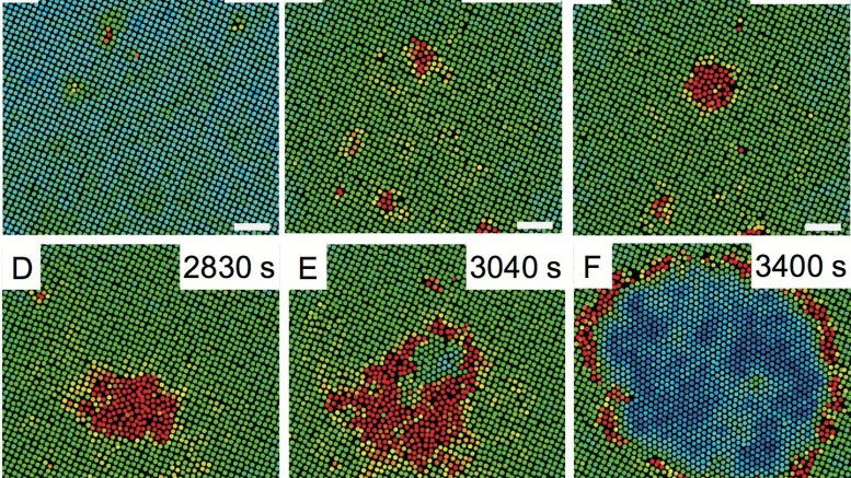 Magnetic and Electronic Phase Transitions in 2D-Materials Probed by ...