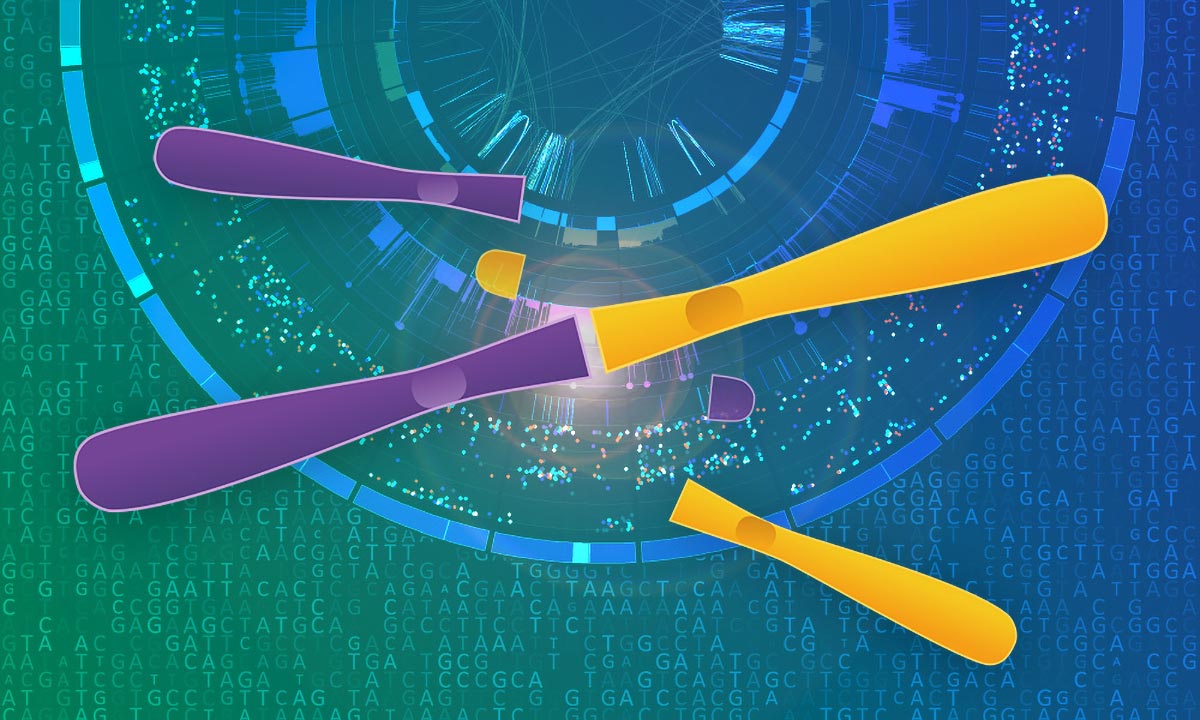 Hidden Mutation Discovered in Aggressive Bone Cancer Could ...