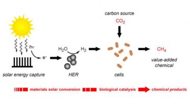 Unique Semiconductor/Catalyst Construct Produces Hydrogen Fuel from ...