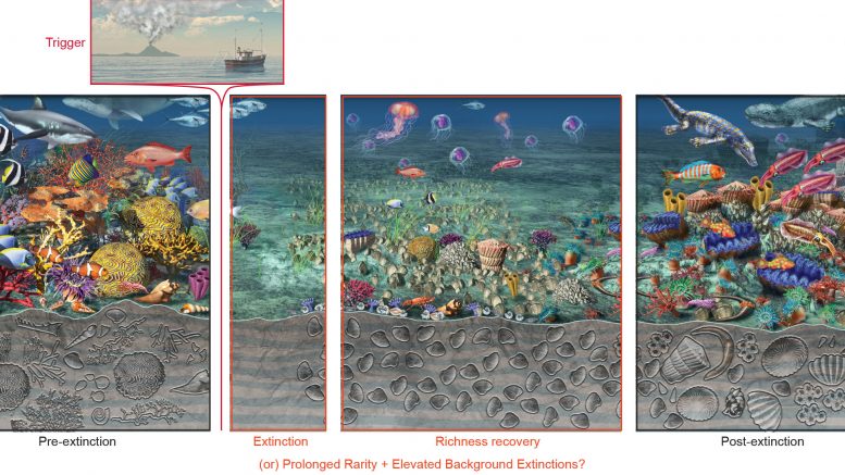 It's Official: Scientists See a 'New' Mass Extinction