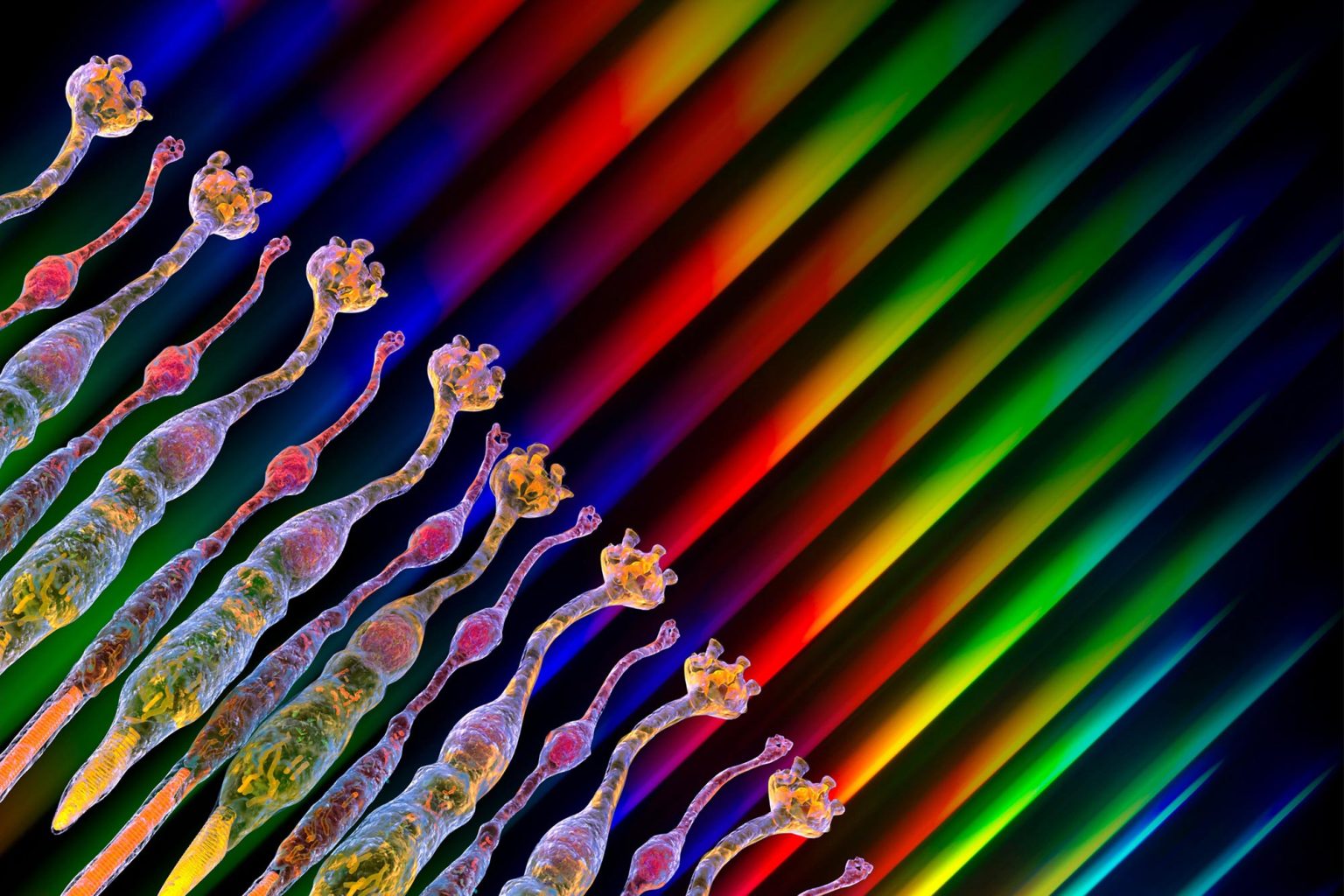 UCLA Research Reveals “Dormant” Cones in Retinal Degeneration May ...