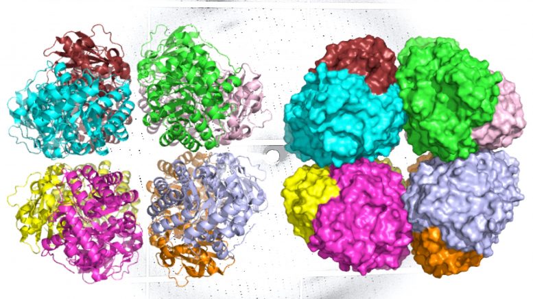 Biology News - Page 92 of 215 - SciTechDaily