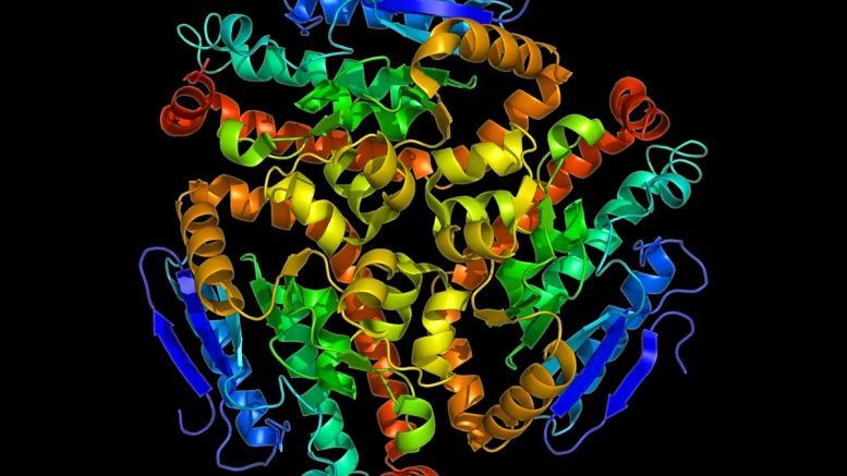Limitless Possibilities – AI Technology Generates Original Proteins ...