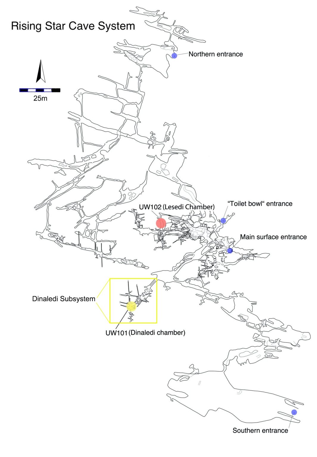 A Child of Darkness: First Partial Skull of Homo naledi Child Found in ...