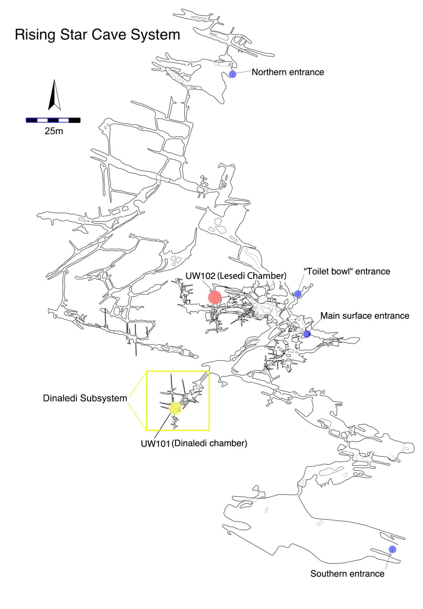 A Child of Darkness: First Partial Skull of Homo naledi Child Found in ...