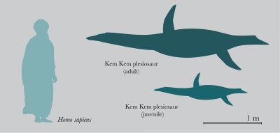 New Plesiosaur Fossil Discovery – What It Means for the Loch Ness Monster