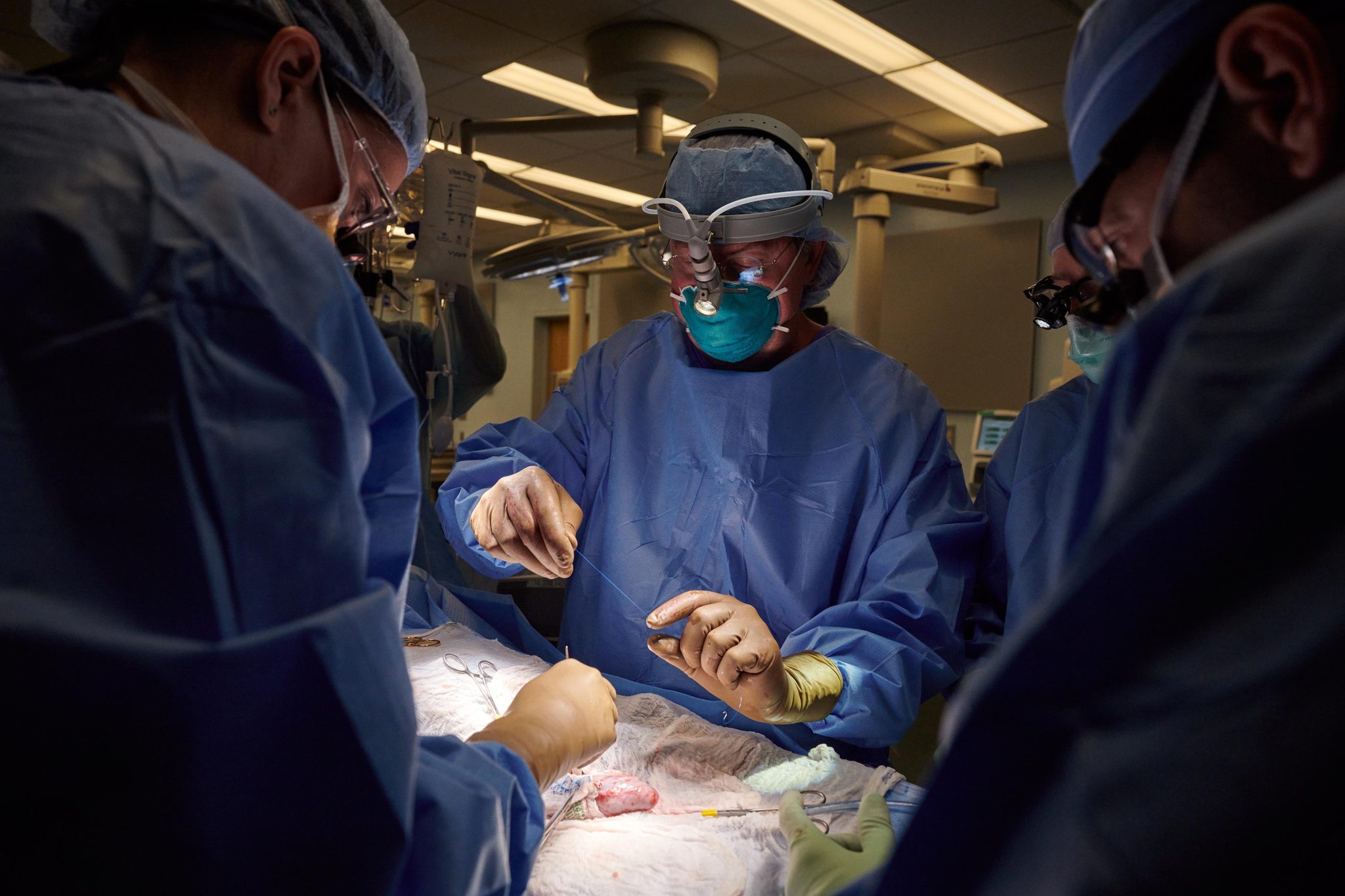 Successful Xenotransplantation Surgery: Genetically Engineered Pig ...
