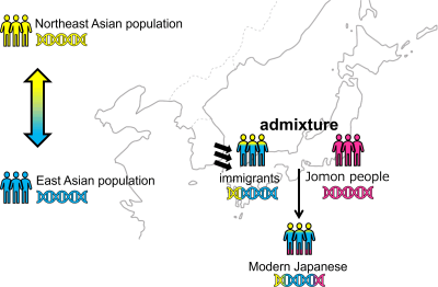 Who Are the Japanese? New DNA Evidence Emerges From 2000-Year-Old Genome