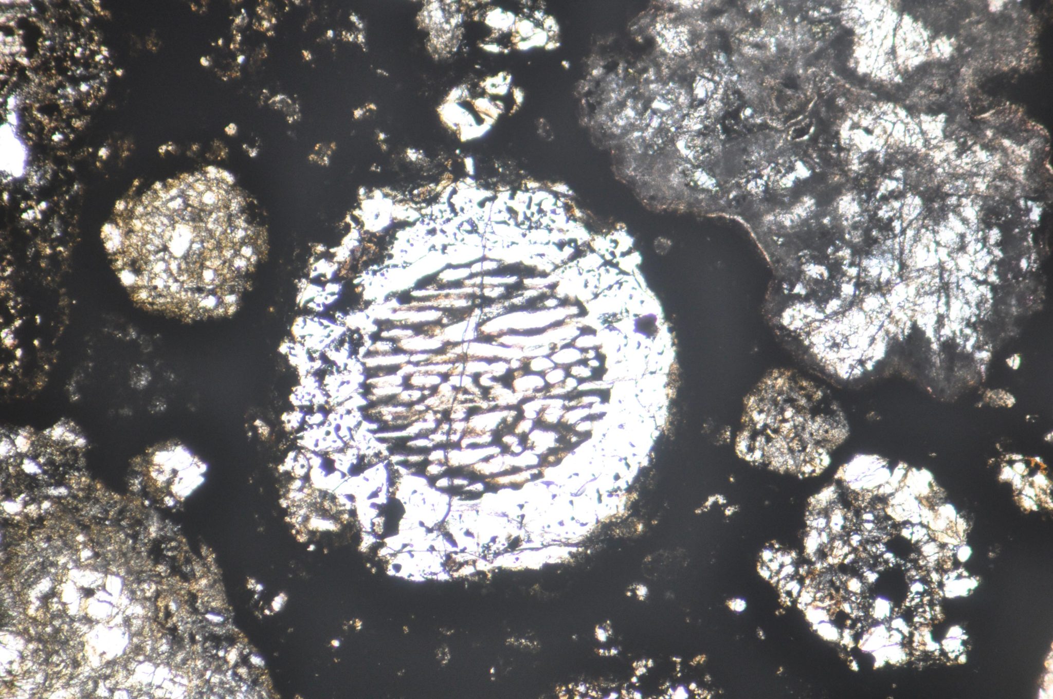 Scientists Have Uncovered When Jupiter Was Born, Solving a Longstanding ...