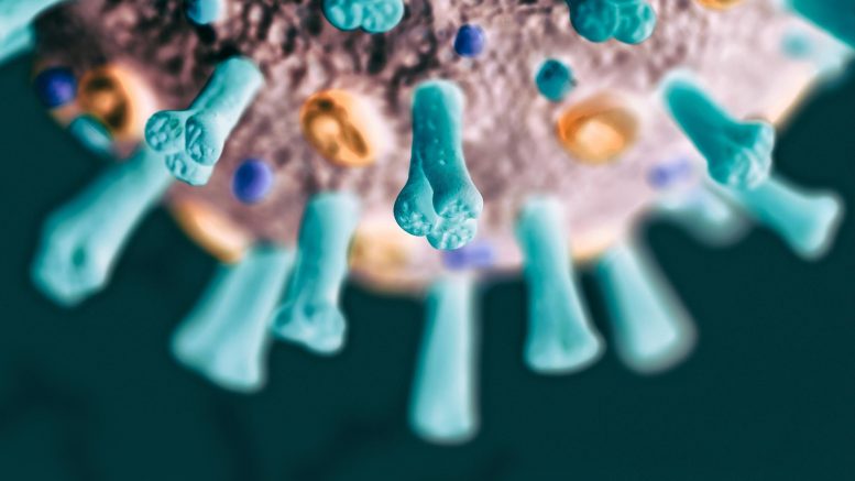 Most Realistic View Yet of COVID-19 Coronavirus Spike’s Protein Structure