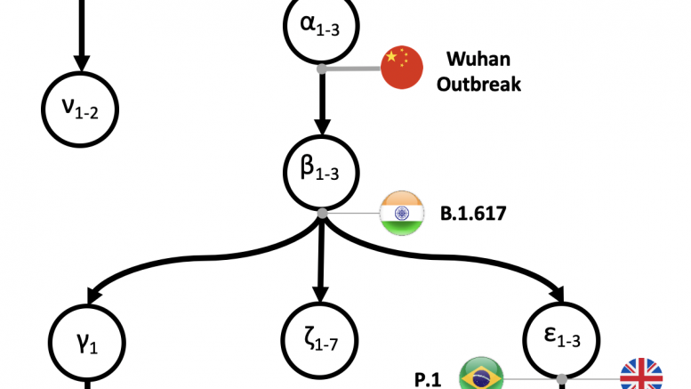 COVID-19 Patient Zero: Data Analysis Identifies the “Mother” of All ...