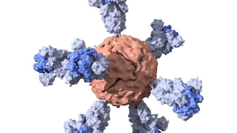 New COVID-19 Vaccine: Nanoparticle Immunization Technology Could ...