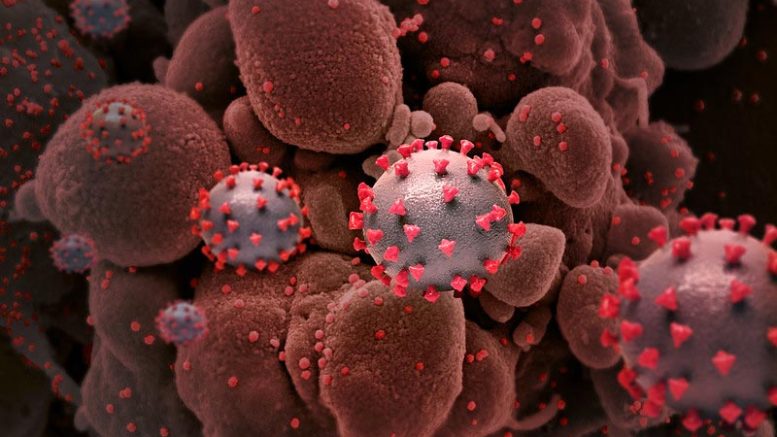 No Evidence COVID-19 Coronavirus Was Genetically Engineered in a Lab ...