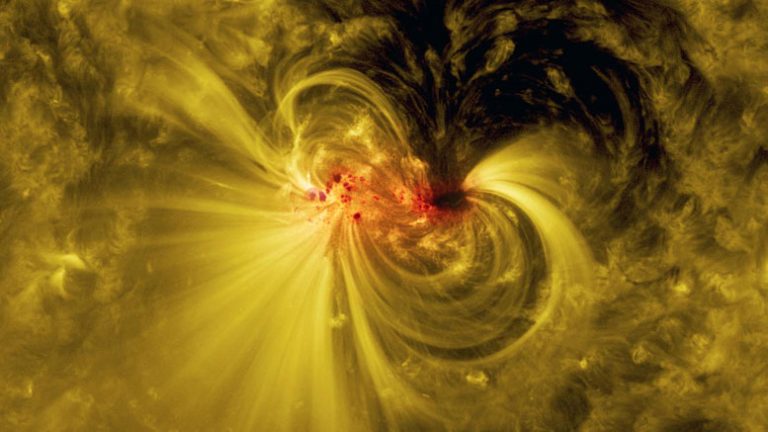 Solar Dynamics Observatory Tracks an Active Region on the Sun