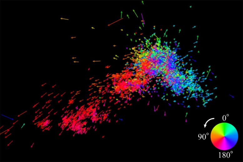 Torn by Gravity: How a Cosmic Tug-of-War Is Pulling a Nearby Galaxy Apart