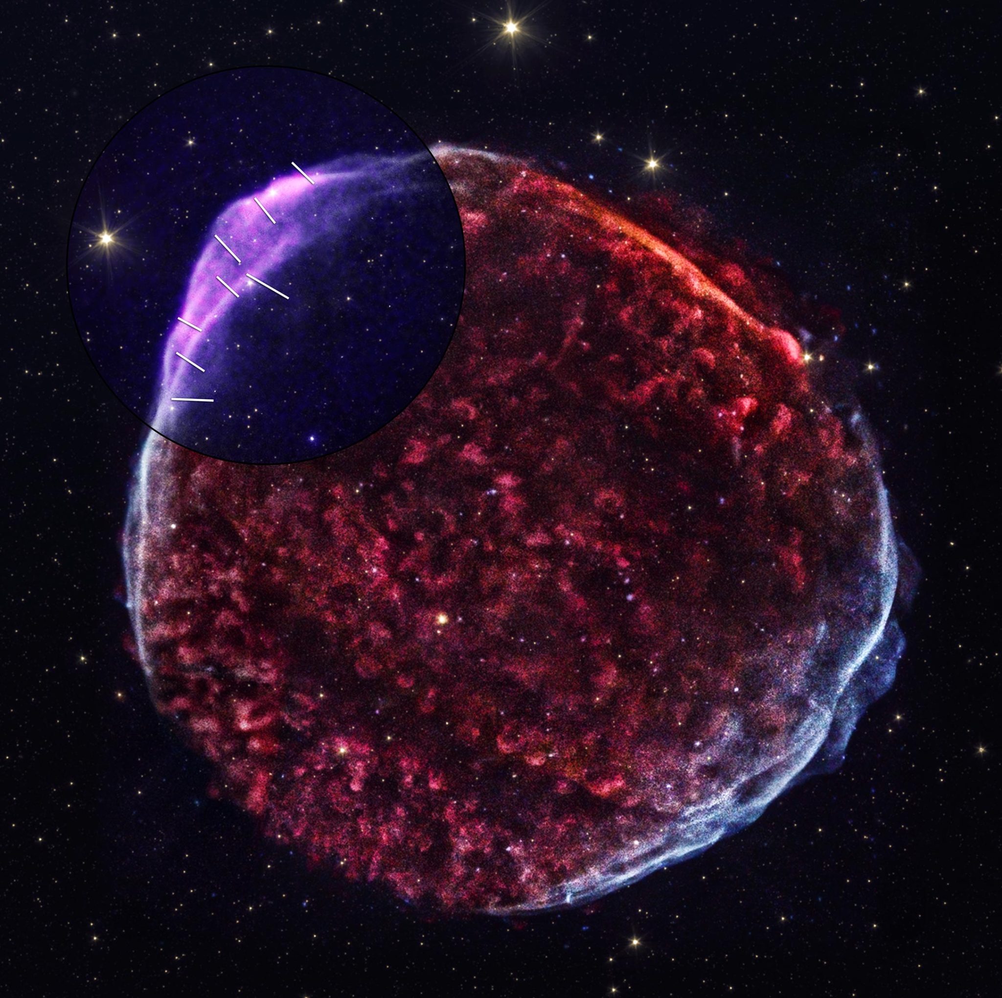 SN 1006 Unveiled: Chandra and IXPE’s New Insights Into a Millennium-Old ...