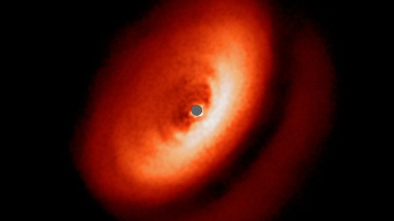 ALMA Reveals Double Star with Wildly Misaligned Planet-Forming Discs