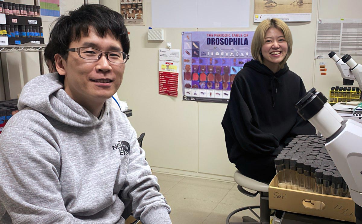 The “Sayonara” Gene: Flies Aren’t Freaks When It Comes to Cell Death