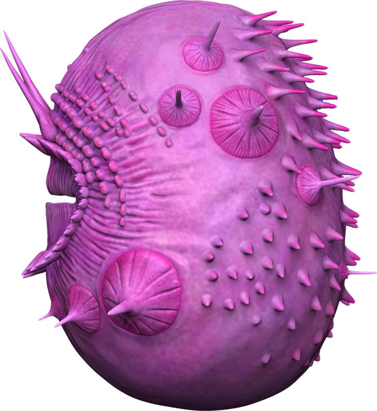 Scientists Relieved To Discover Mysterious Creature Is Not Humanity’s ...