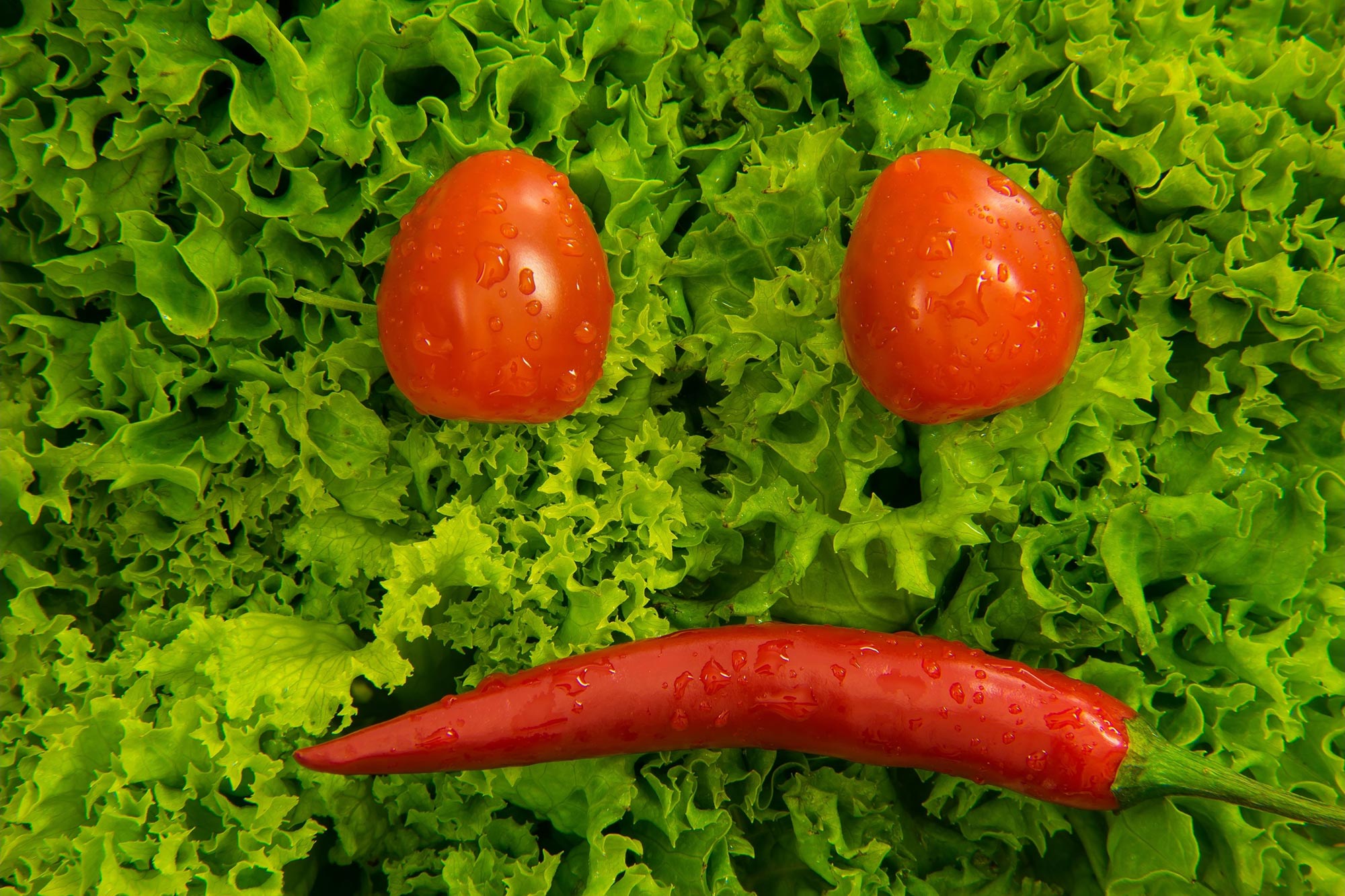 Vegetarians More Likely To Be Depressed Than Meat-Eaters – Here’s the ...