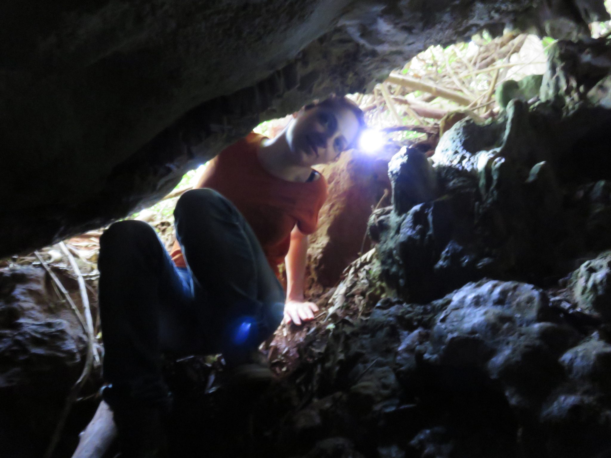 Scientists Discover Mysterious New Species of Crustacean in Underground ...