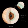 Scientists Model Saturn’s Interior – Thick Layer of Helium Rain May ...