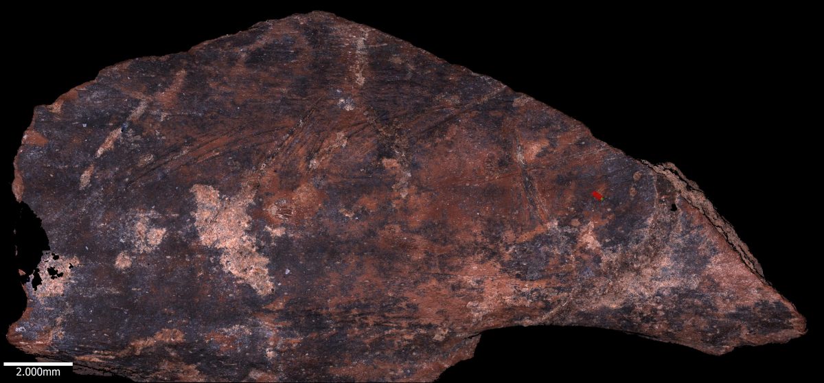 Did Neanderthals Cook With Culture? Surprising Clues in Burned Bones ...