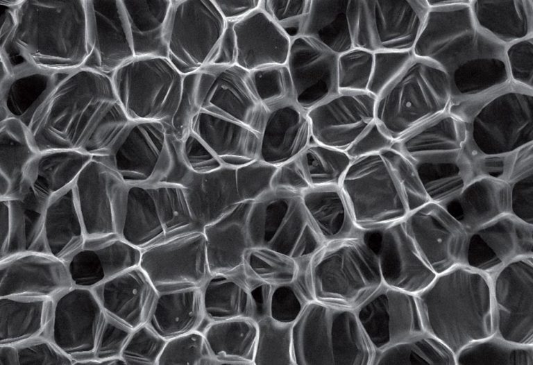 Microstructures of Plants May Lead to New Bio-Inspired Materials