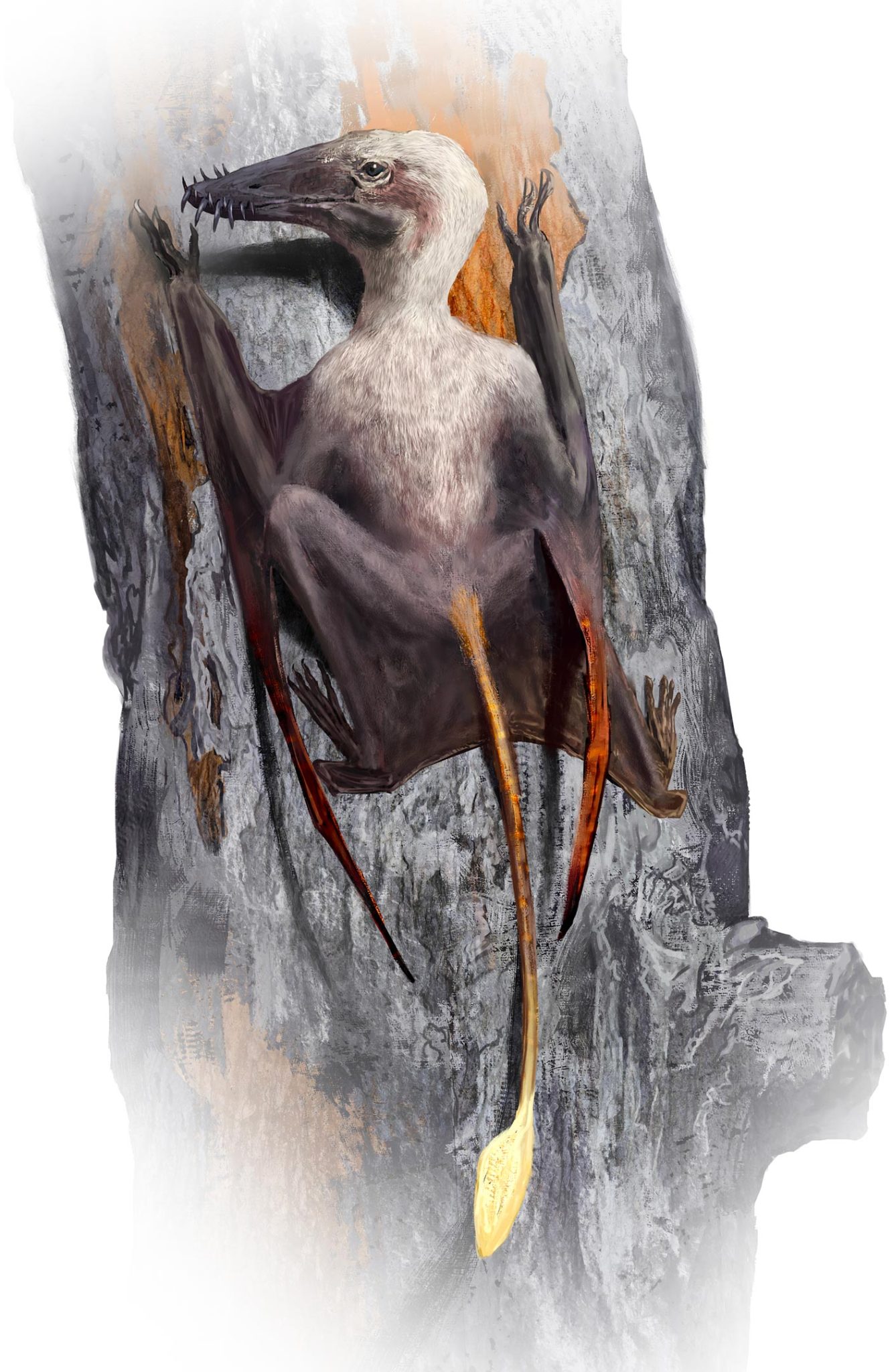 Scientists Uncover Terrestrial Secret Behind Pterosaurs’ Enormous Size