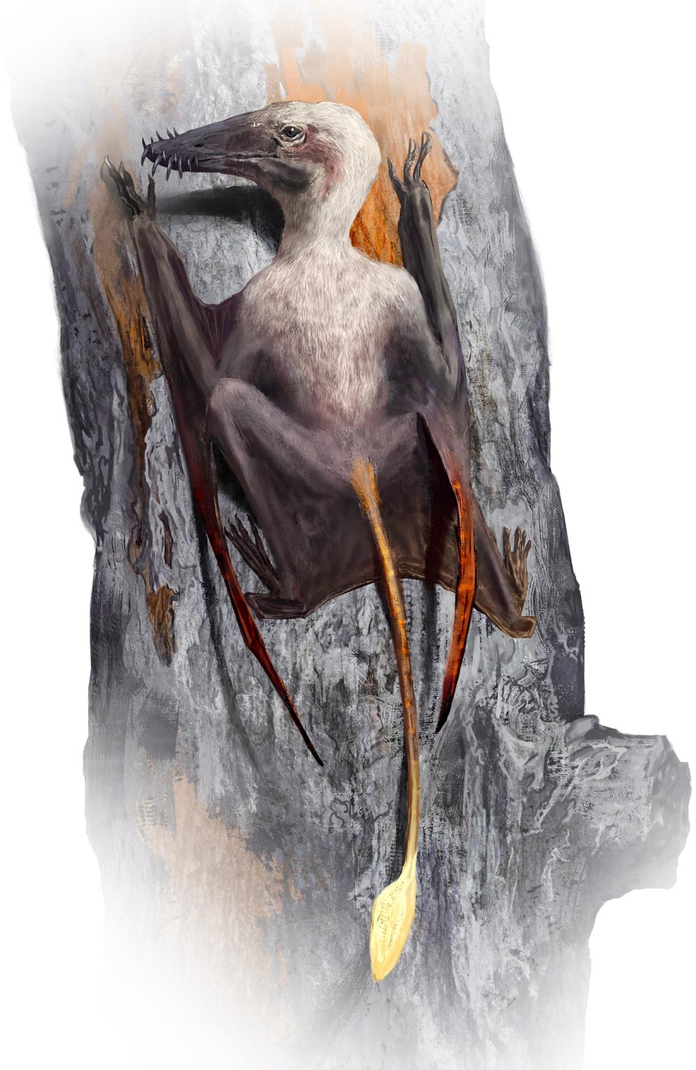 Scientists Uncover Terrestrial Secret Behind Pterosaurs’ Enormous Size