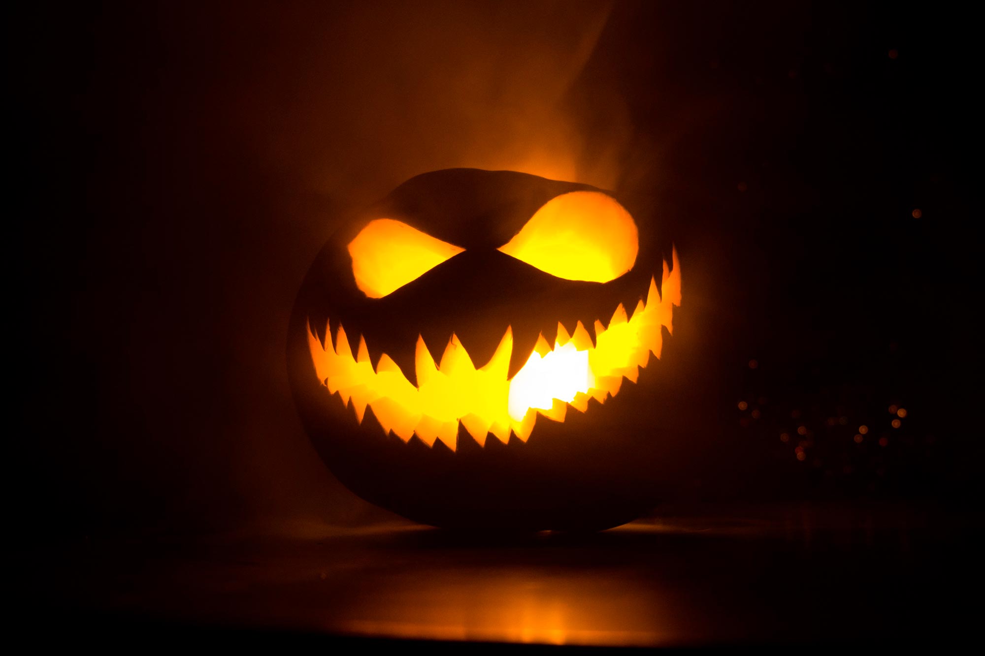 The Science Behind the Scream: Why We Love To Be Scared