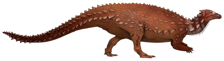 Jurassic Scelidosaurus harrisonii: Only Dinosaur Bones Ever Discovered ...