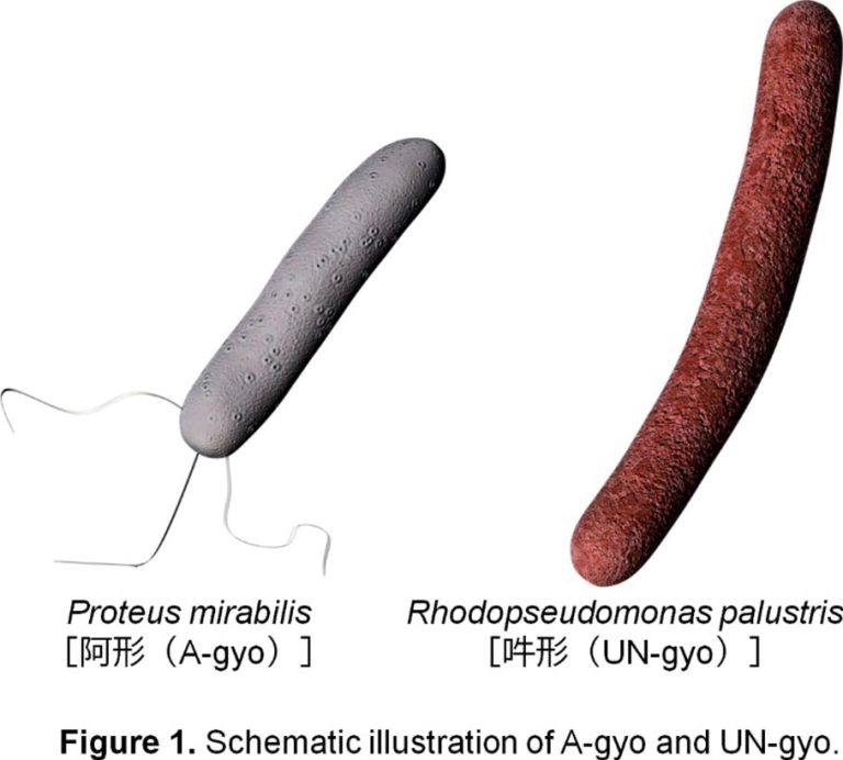 Challenging Over 150 Years of Immunotherapy: Scientists Unveil New ...