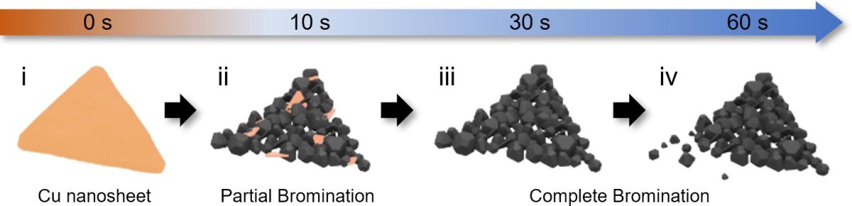 World’s First Ultra-Sensitive Flexible Ammonia Sensor Developed by ...