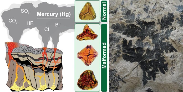 Mercury Pollution and Mass Extinction: Tracing Toxic Legacies From ...