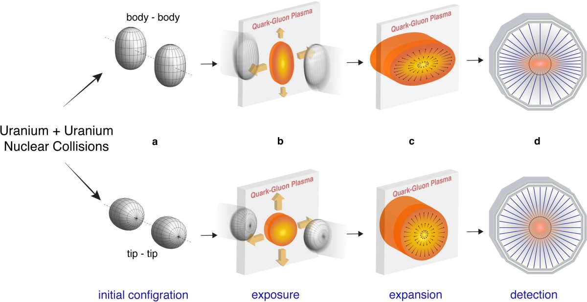 Scientists Smash Atoms to Smithereens, Revealing Hidden Nuclear Shapes