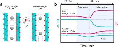 Unlocking the Secrets of Water-Ion Interactions in Layered Materials