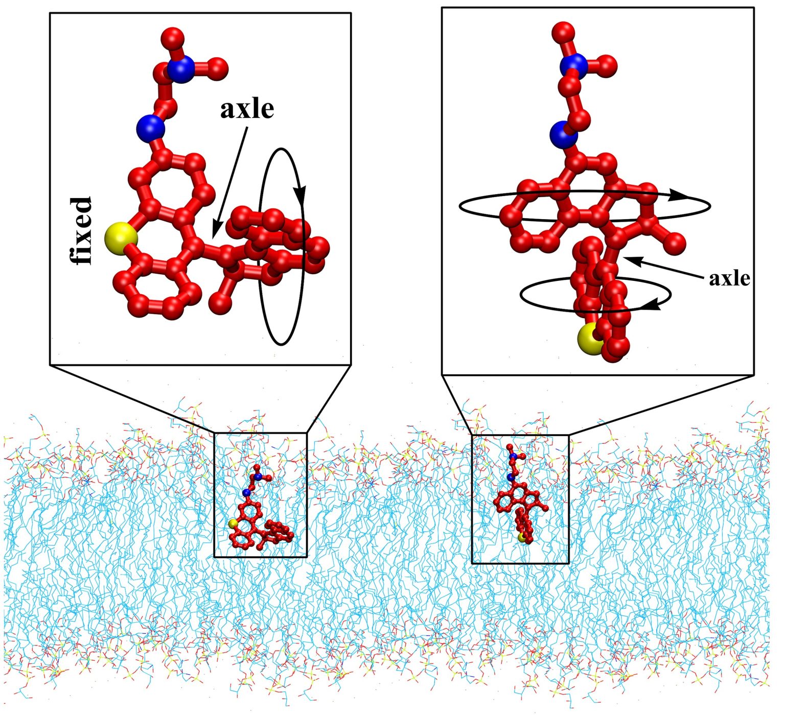 Molecular Machines: Bacteria-Killing Drills Get an Upgrade