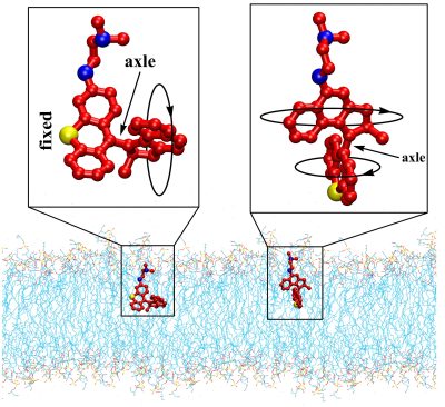 Molecular Machines: Bacteria-Killing Drills Get an Upgrade