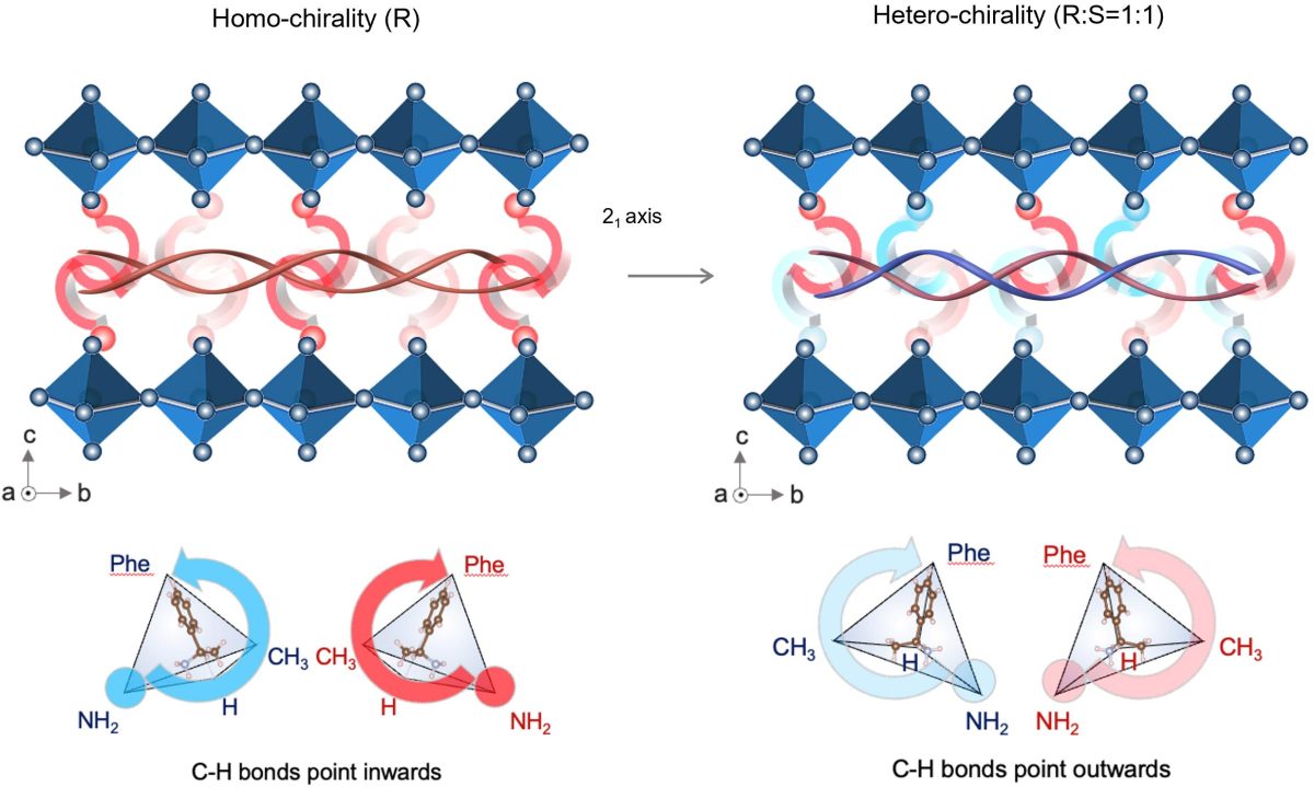 Harnessing the Helix: First-of-Its-Kind “Springy” Chiral Interface ...