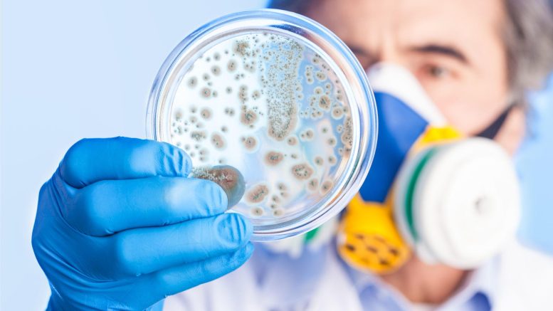 Transformative Technology: To Understand Biology, Scientists Turn to ...